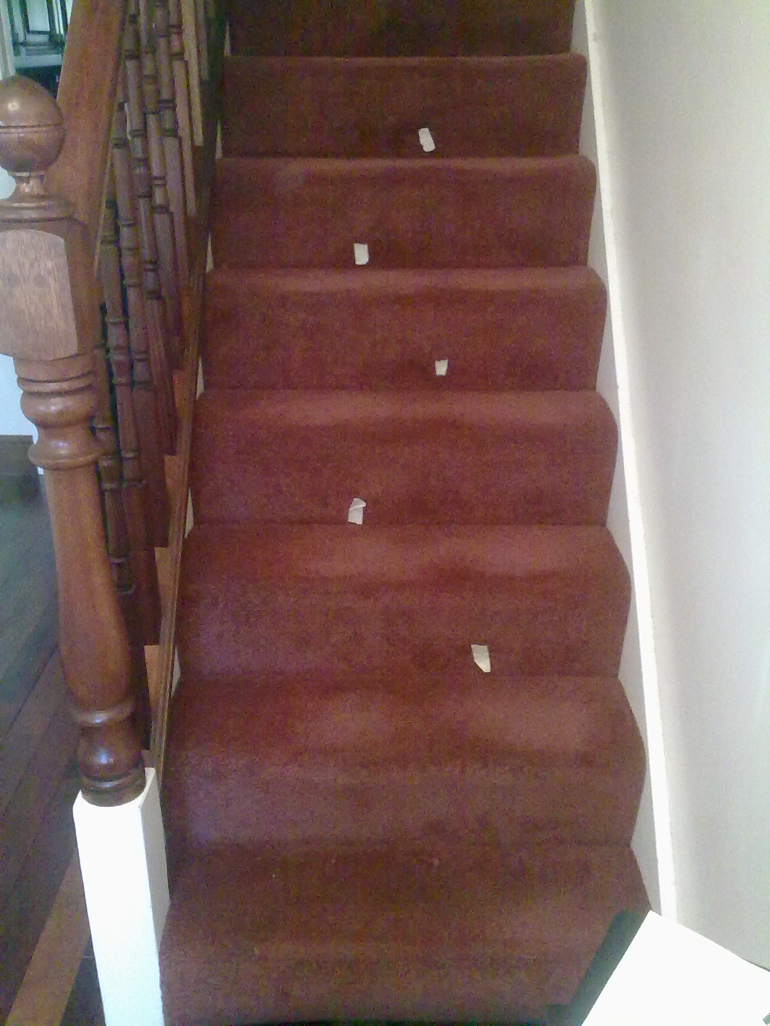 Disappearing Pile - Independent Carpet & Flooring Inspector